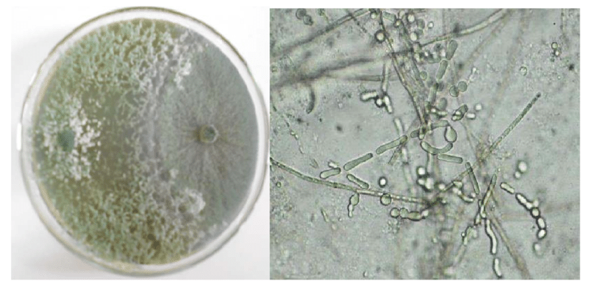 Croper.com: Compras inteligentes para el agro