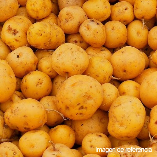 Croper.com: Compras inteligentes para el agro