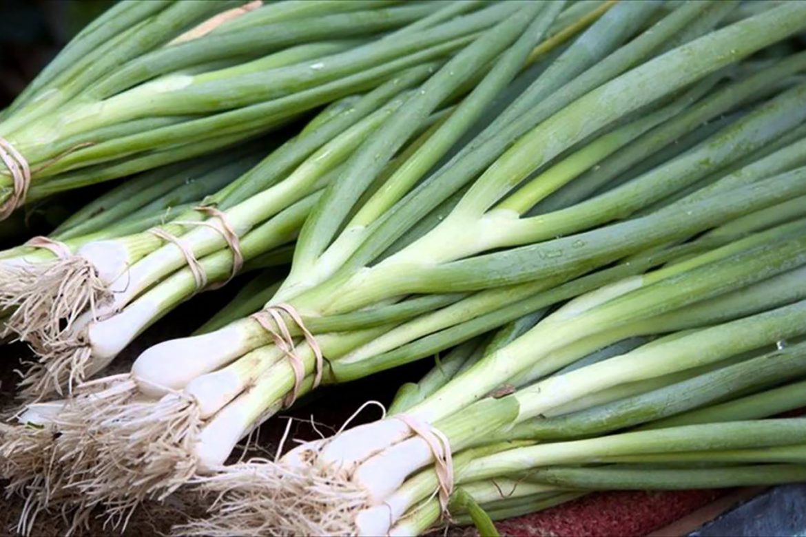 Croper.com: Compras inteligentes para el agro